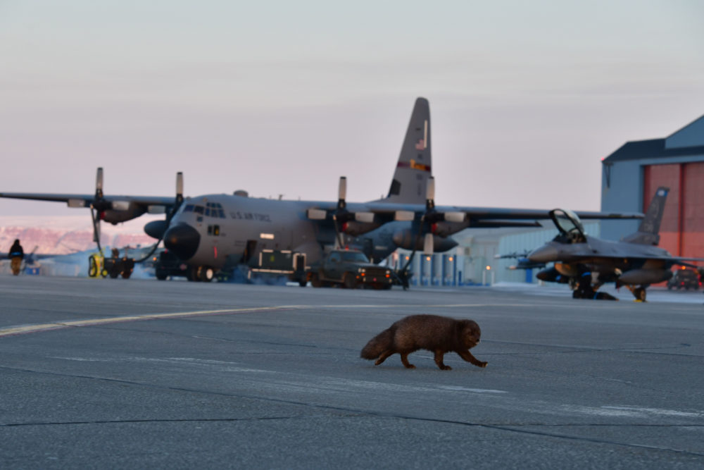 U.S., Canadian Aircraft Train to Protect Arctic Airspace | Air & Space ...