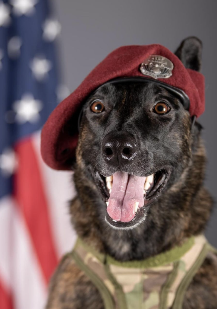 One-and-Only Air Force PJ Dog Prepares to Wrap Historic Career
