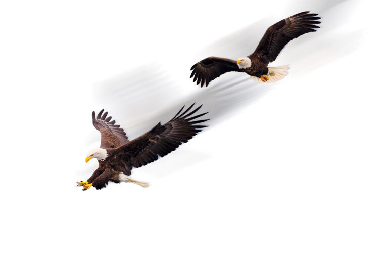 2026 USAF and USAF Almanac | Air & Space Forces Magazine
